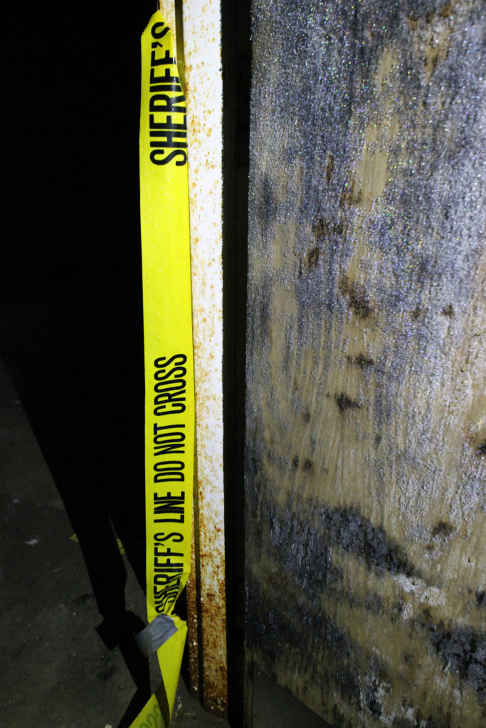 Basement Crime Scene – Courtney Celley